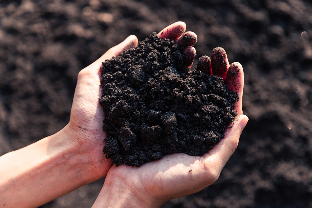 Tips for healthy soil - Pugh's Garden Centres